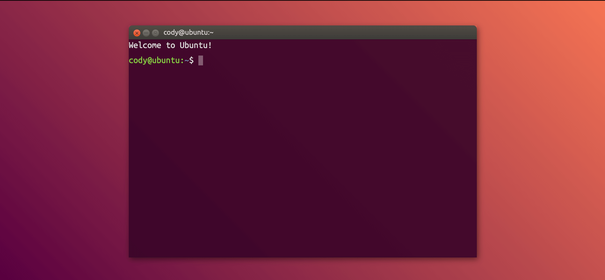 Ubuntu Terminal In CSS Codinhood